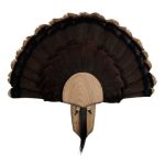 Top Turkey Tail Mounts: DIY Taxidermy Plaques & Kit Reviewed