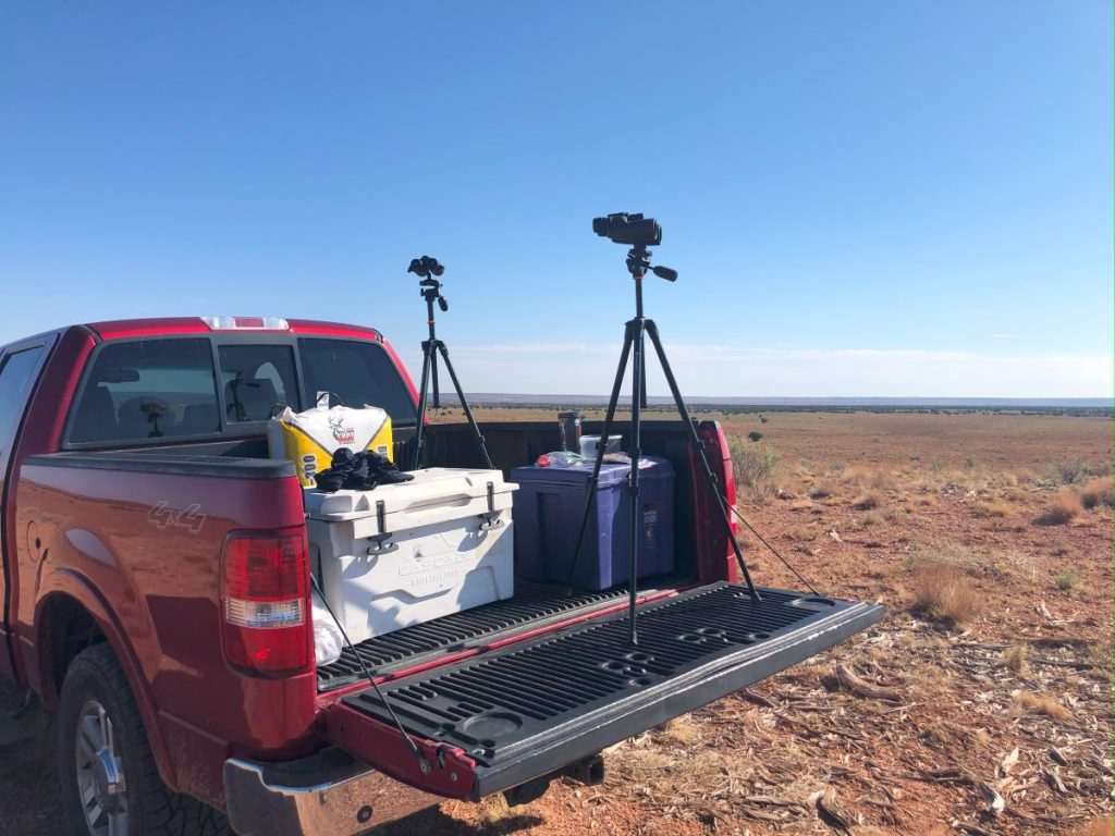 Top 3 Strategies and Tactics For Elk Hunting Quiet Bulls