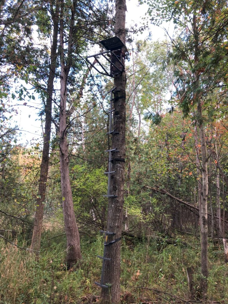 Treestand 101 for Beginners: Hang On Treestand For Hunting Deer
